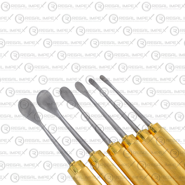 28cm Cobb Elevators Set of 6 Pcs - Regal Impex Instruments